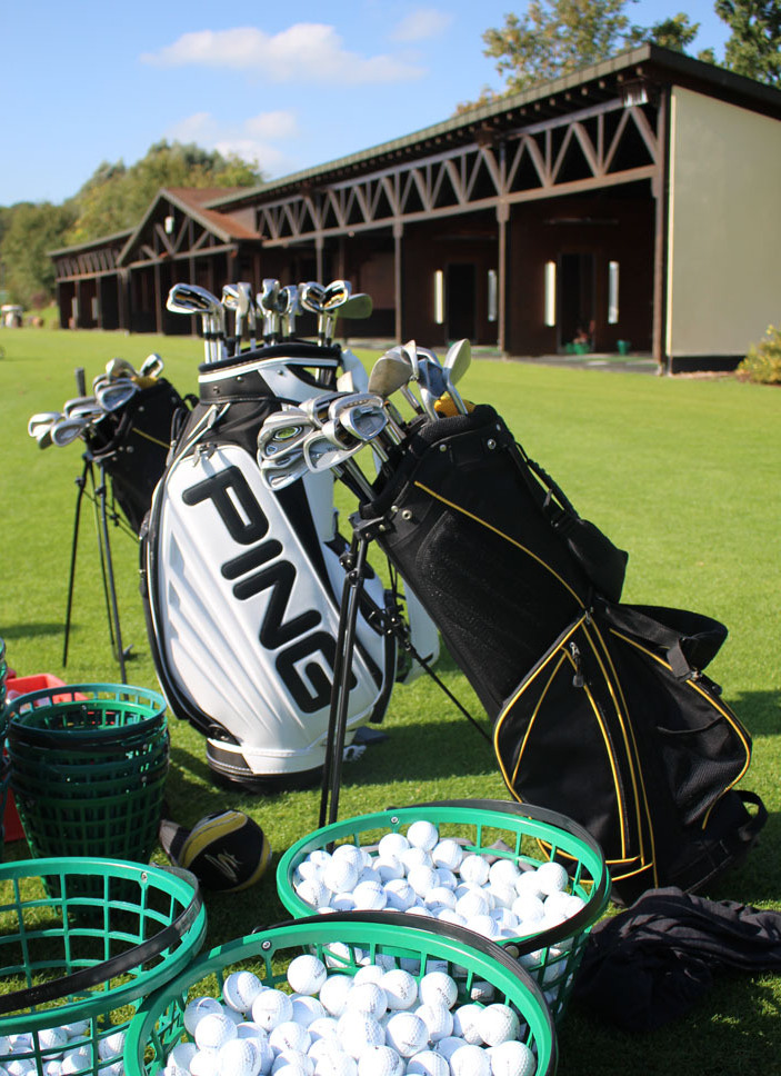 KIT - Schools of the International Department gGmbH - Milestones - ID ...